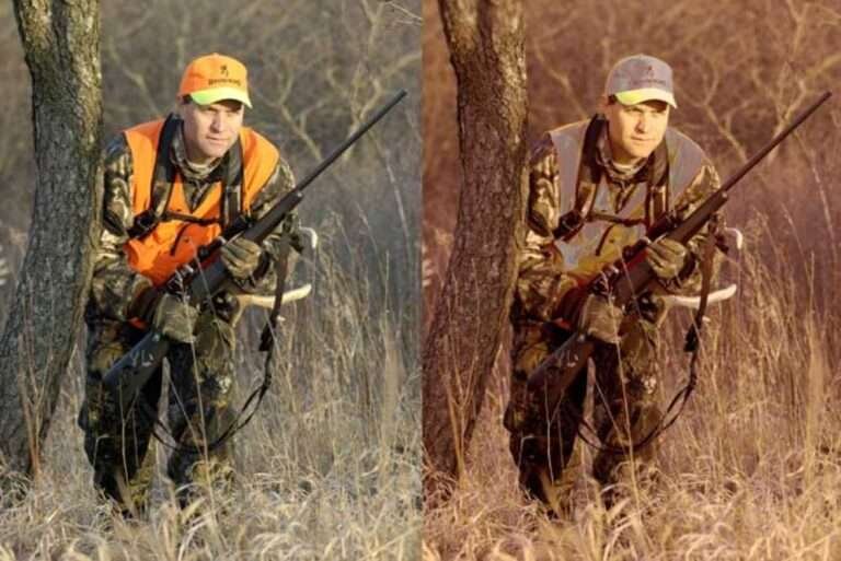 Can Deer See Color Or Are They Colorblind Deer Vision Explained 2023
