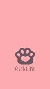 16+ Cute Cat Wallpapers, Lockscreen for Mobile device - HowitSee