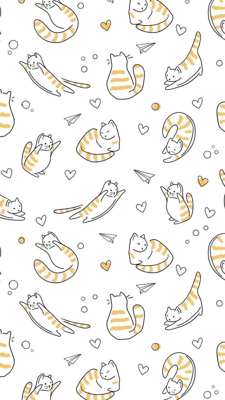 16+ Cute Cat Wallpapers, Lockscreen for Mobile device - HowitSee