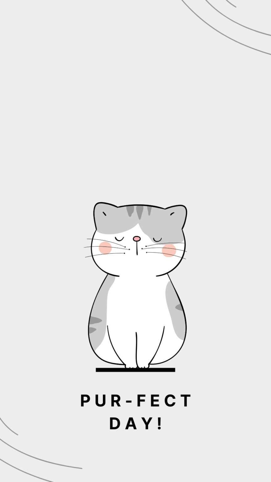 16+ Cute Cat Wallpapers, Lockscreen for Mobile device - HowitSee