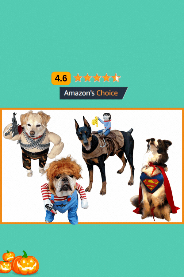 105 Puppy Names For Male Female HowitSee 105 Puppy Names For Male Female HowitSee